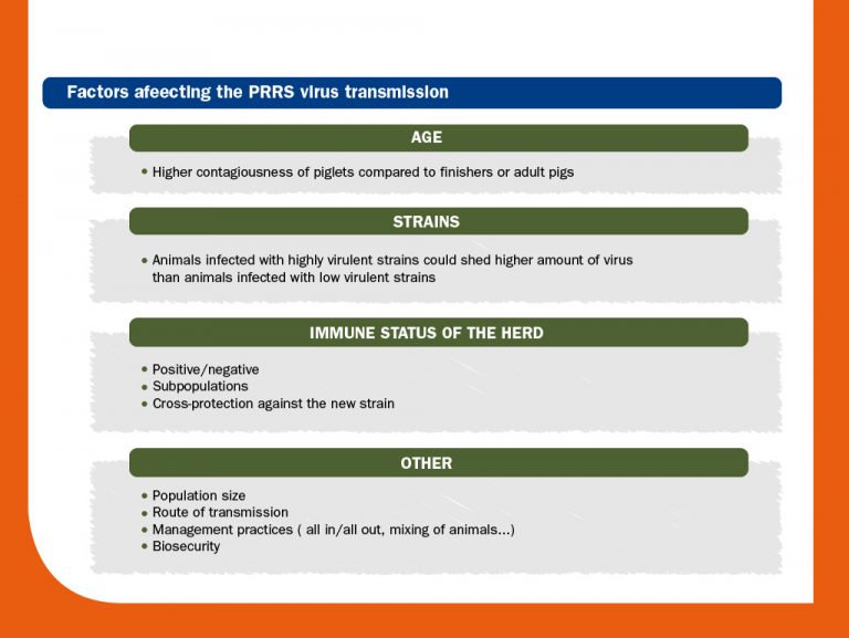 How to quantify PRRS virus transmission? | PRRS Control