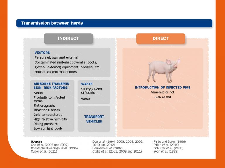 PRRS in Pigs | PRRS Control