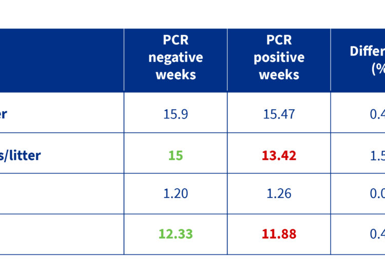 PRRS in Pigs | PRRS Control